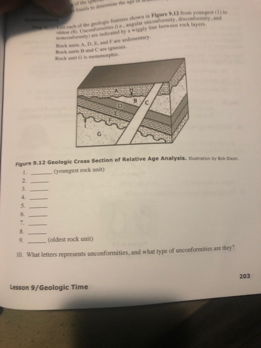 Solved of the igne fossils to determine the age showa in | Chegg.com