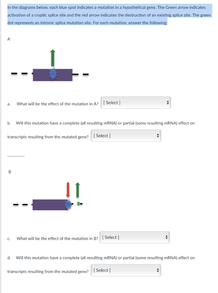 Solved In the diagrams below, each blue spot indicates a | Chegg.com