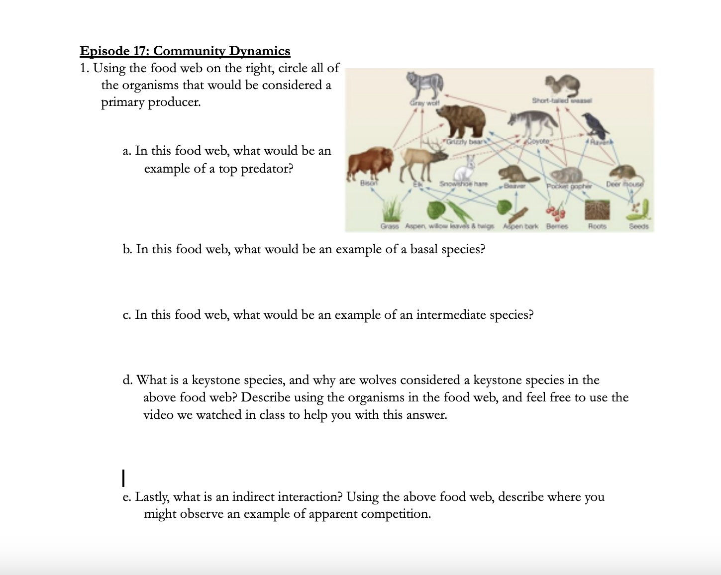 Solved 1. Using the food web on the right, circle all of the | Chegg.com