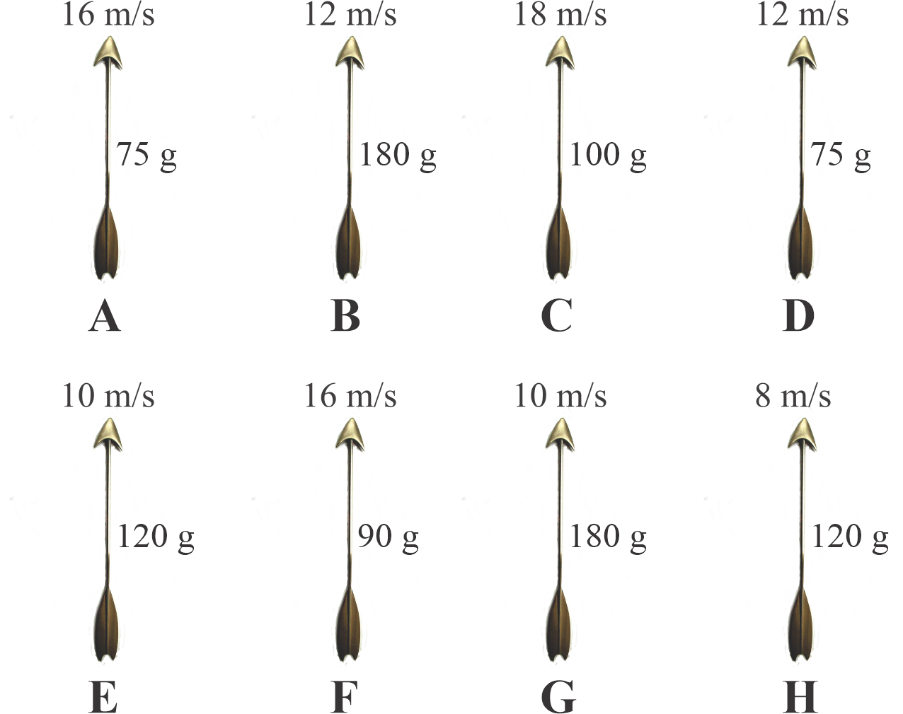 Solved The eight arrows below are shot straight up into the | Chegg.com