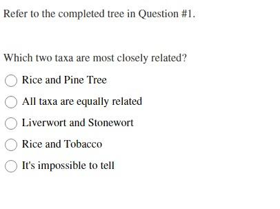 Solved Outgroup (Chlorophyte) Refer to the completed tree | Chegg.com