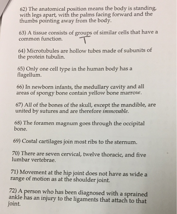 Solved 62) The anatomical position means the body is | Chegg.com