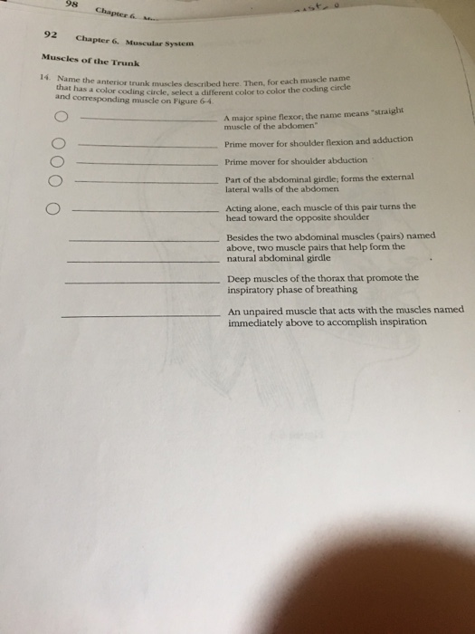 Solved 98 Chapter 6 M 92 Chapter 6, Muscular System Muscles | Chegg.com
