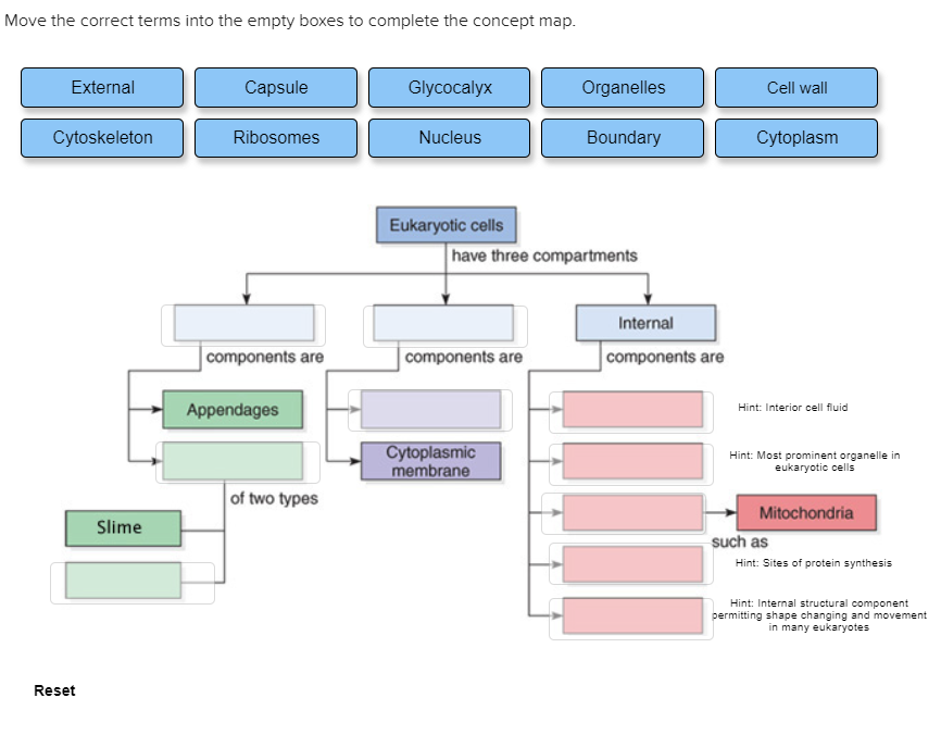 Solved Move the correct terms into the empty boxes to | Chegg.com