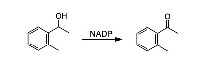 Solved NADP NH2 NADP | Chegg.com