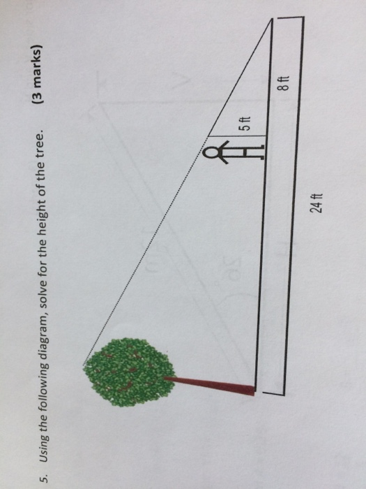 Solved Using the following diagram, solve for the height of | Chegg.com Solved Using the following diagram, solve for the height of | Chegg.com