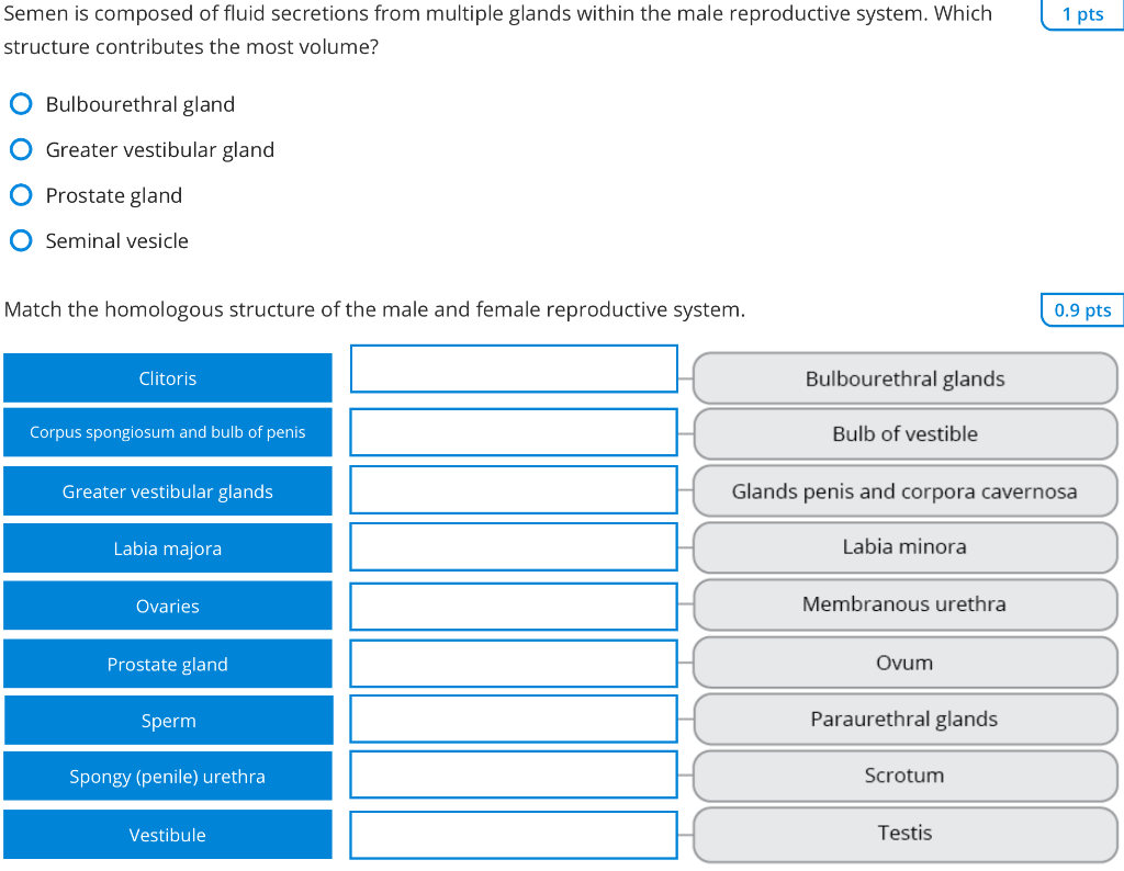 Match The Following Functions To The Appropriate