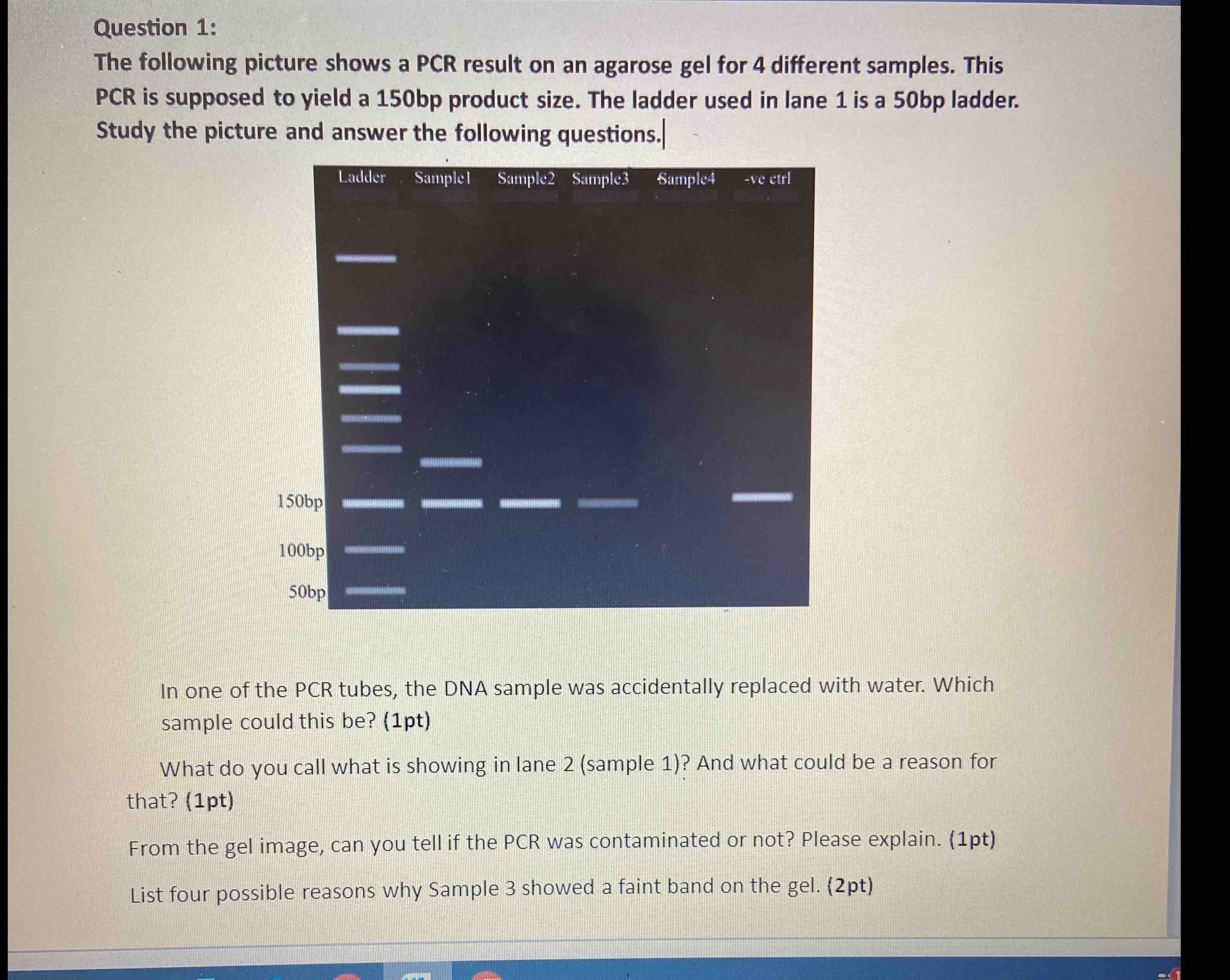 Solved Question 1:The following picture shows a PCR result | Chegg.com