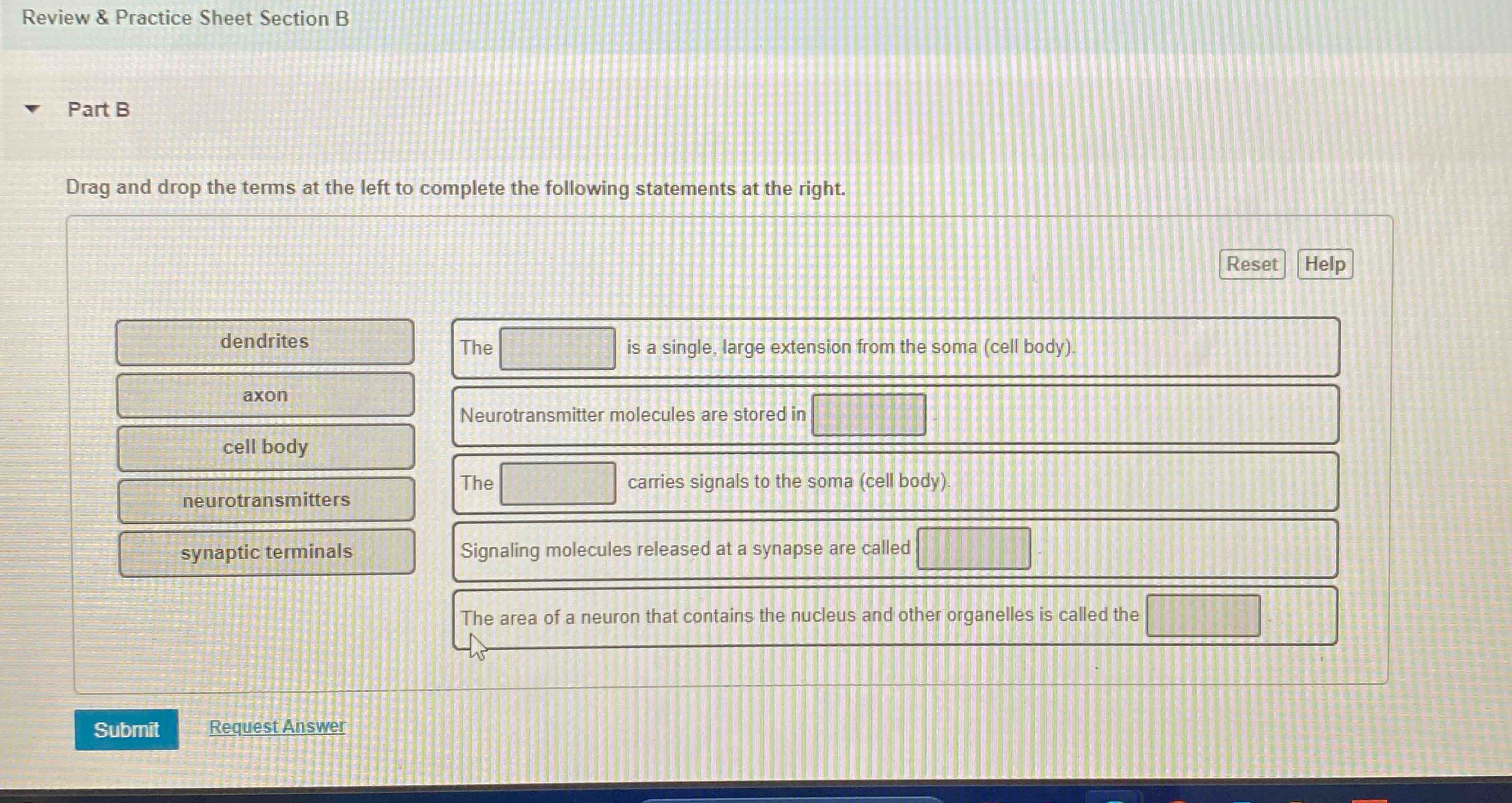 Solved Review & Practice Sheet Section BPart BDrag and drop | Chegg.com Solved Review & Practice Sheet Section BPart BDrag and drop | Chegg.com