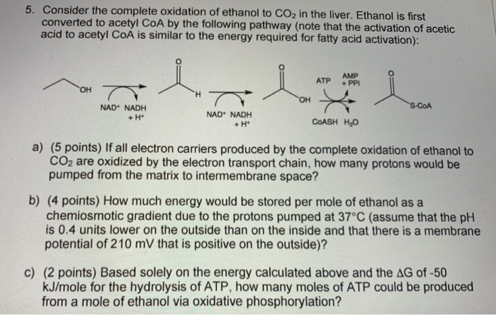 Solved 5. Consider the complete oxidation of ethanol to CO2 | Chegg.com