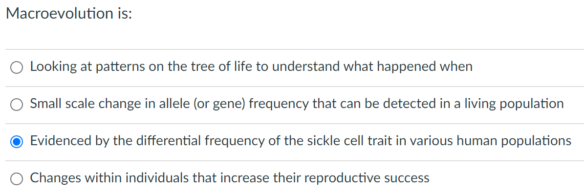Solved Macroevolution is: Looking at patterns on the tree of | Chegg.com