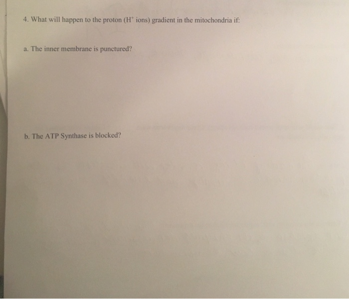 Solved 4. What will happen to the proton (H' ions) gradient | Chegg.com