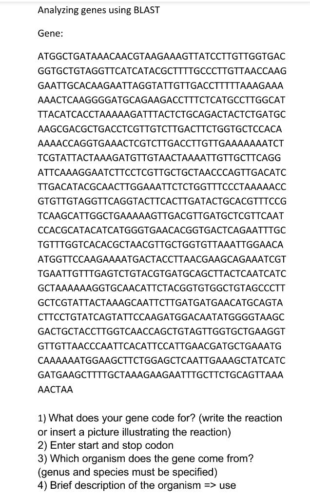 Solved Analyzing genes using BLAST Gene: | Chegg.com