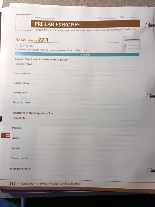 Solved Nome Section Date PRE-LAB EXERCISES Complete the | Chegg.com