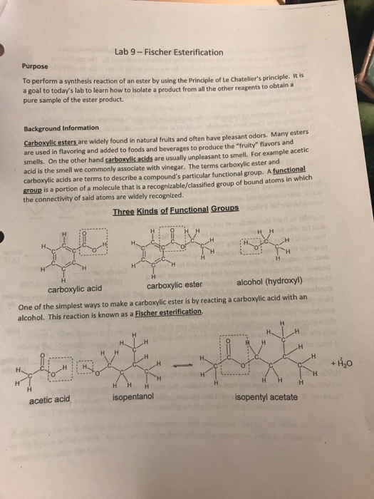 fischer esterification lab report chegg