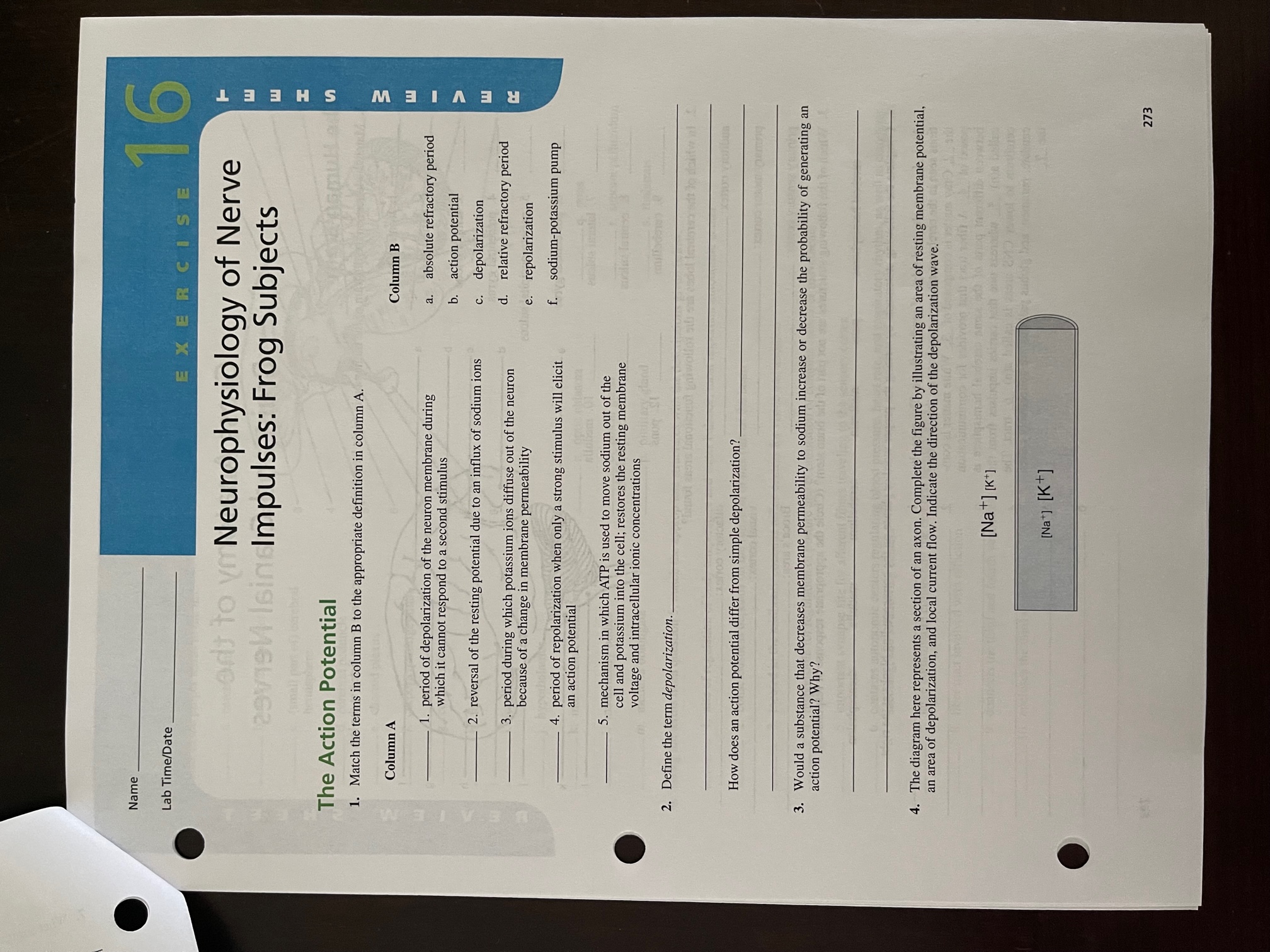 Solved Neurophysiology of Nerve Impulses: Frog Subjects The | Chegg.com