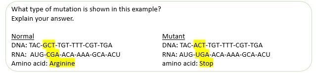 Solved What type of mutation is shown in this | Chegg.com