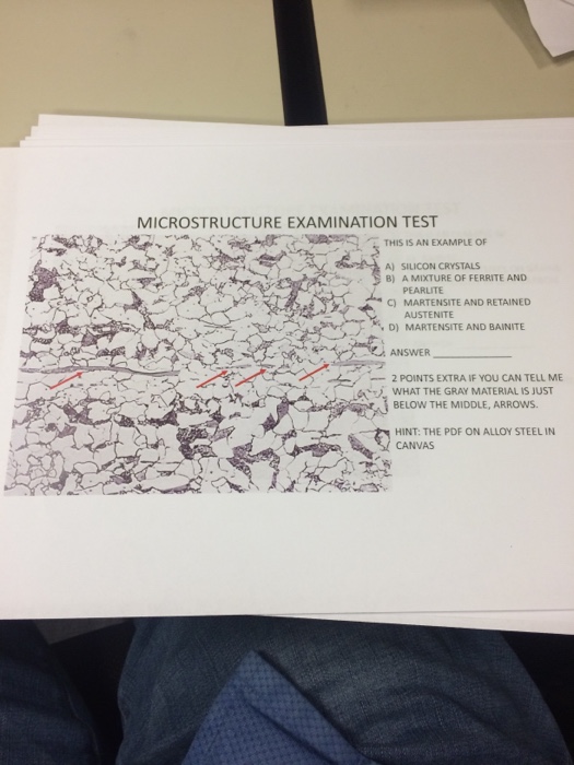 Solved MICROSTRUCTURE EXAMINATION TEST THIS IS AN EXAMPLE Or | Chegg.com