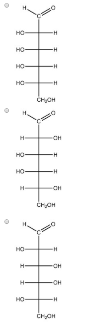 Solved Practice Problem 24.56 Choose the open-chain form for | Chegg.com