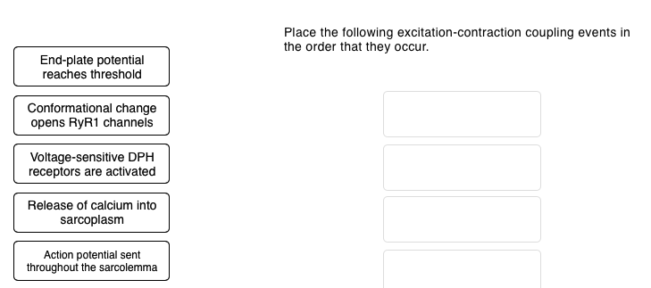 Solved the order that they occur. End-plate potential | Chegg.com
