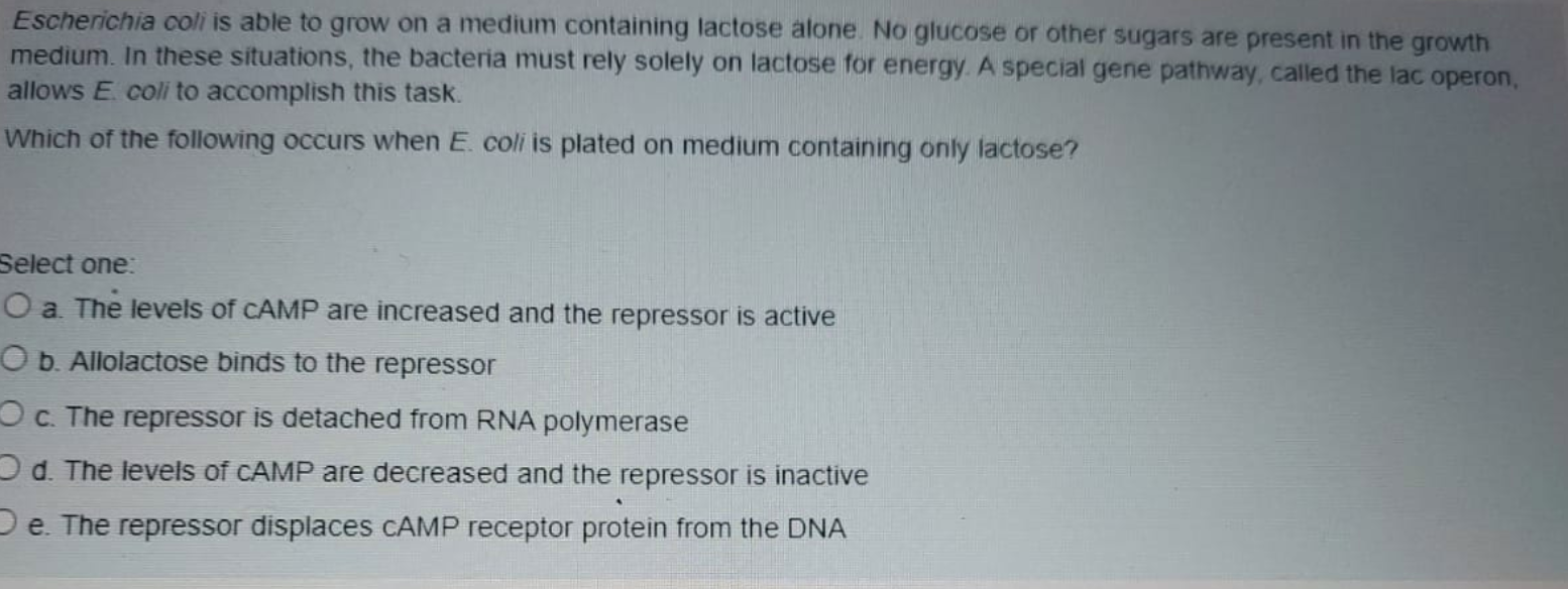 Solved Escherichia coli is able to grow on a medium | Chegg.com