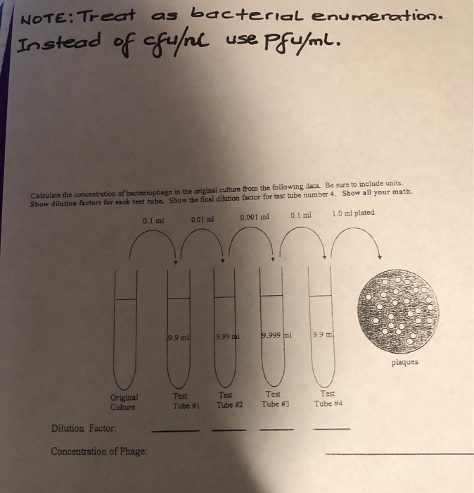Solved NOTE:Treat as bacteriaL enumeration Instead of fynt | Chegg.com