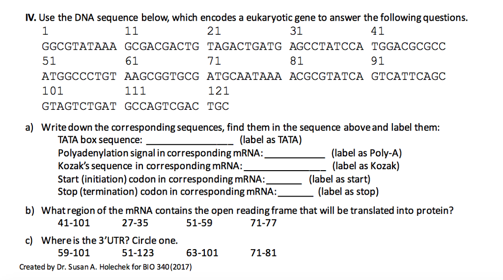 Solved PAGE 201 ) Name (Last, First): Il. Use the DNA | Chegg.com