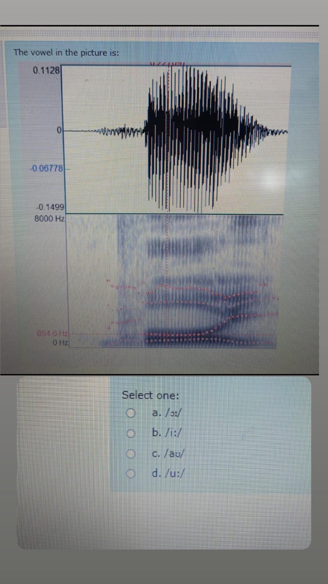 Solved The vowel in the picture is:Select | Chegg.com