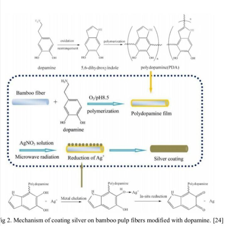 Solved 3=8-6865 oxidation polymerization rearrangement HO OH | Chegg.com
