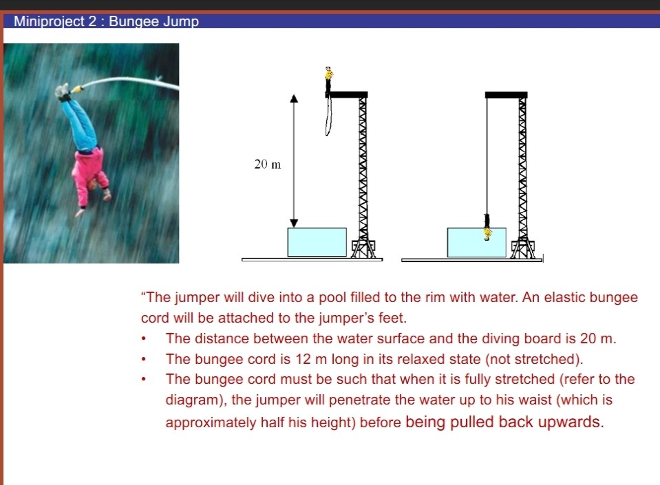 Solved Miniproject 2 : Bungee Jump "The jumper will dive | Chegg.com