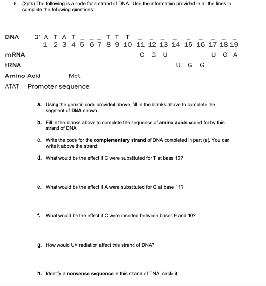 Solved 6. (2pts) The following is a code for a strand of | Chegg.com