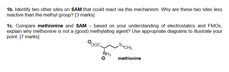 Solved A simplified version of the first methylation | Chegg.com