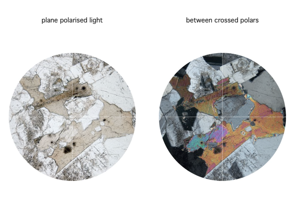 Solved plane polarised light between crossed polars | Chegg.com