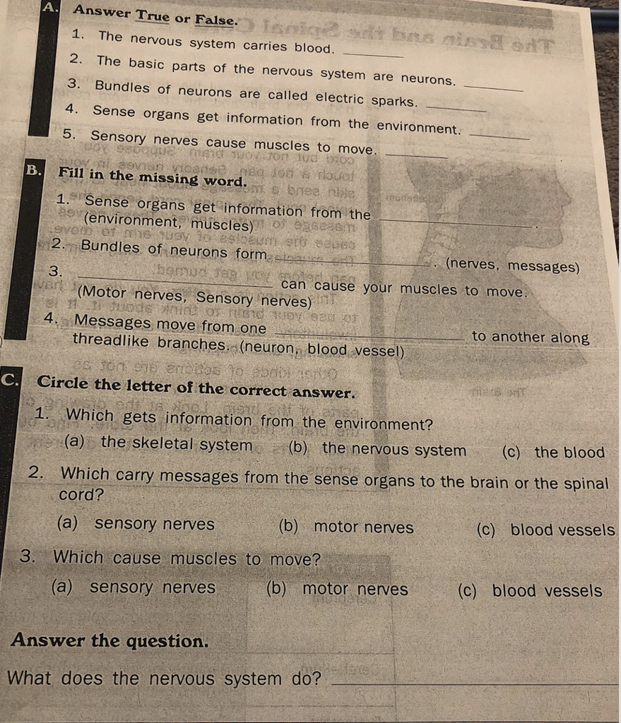 Solved Answer True or False. 1. The nervous system carries | Chegg.com