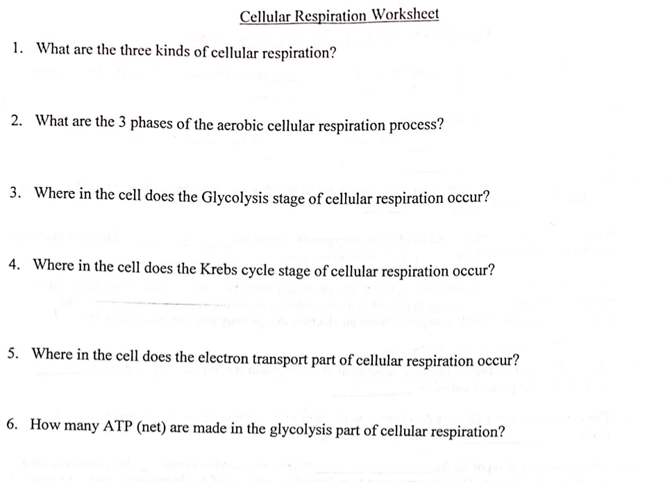 Solved 1. What are the three kinds of cellular respiration? | Chegg.com