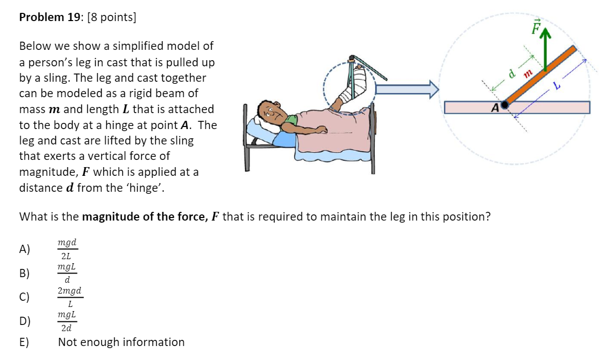 Solved Below we show a simplified model of a person's leg in | Chegg.com
