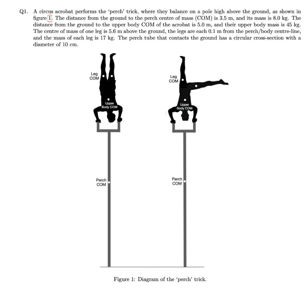 Solved Q1. A circus acrobat performs the 'perch' trick, | Chegg.com