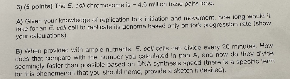 Solved 5 ﻿points ﻿the E ﻿coli Chromosome Is ∼4 6 ﻿million