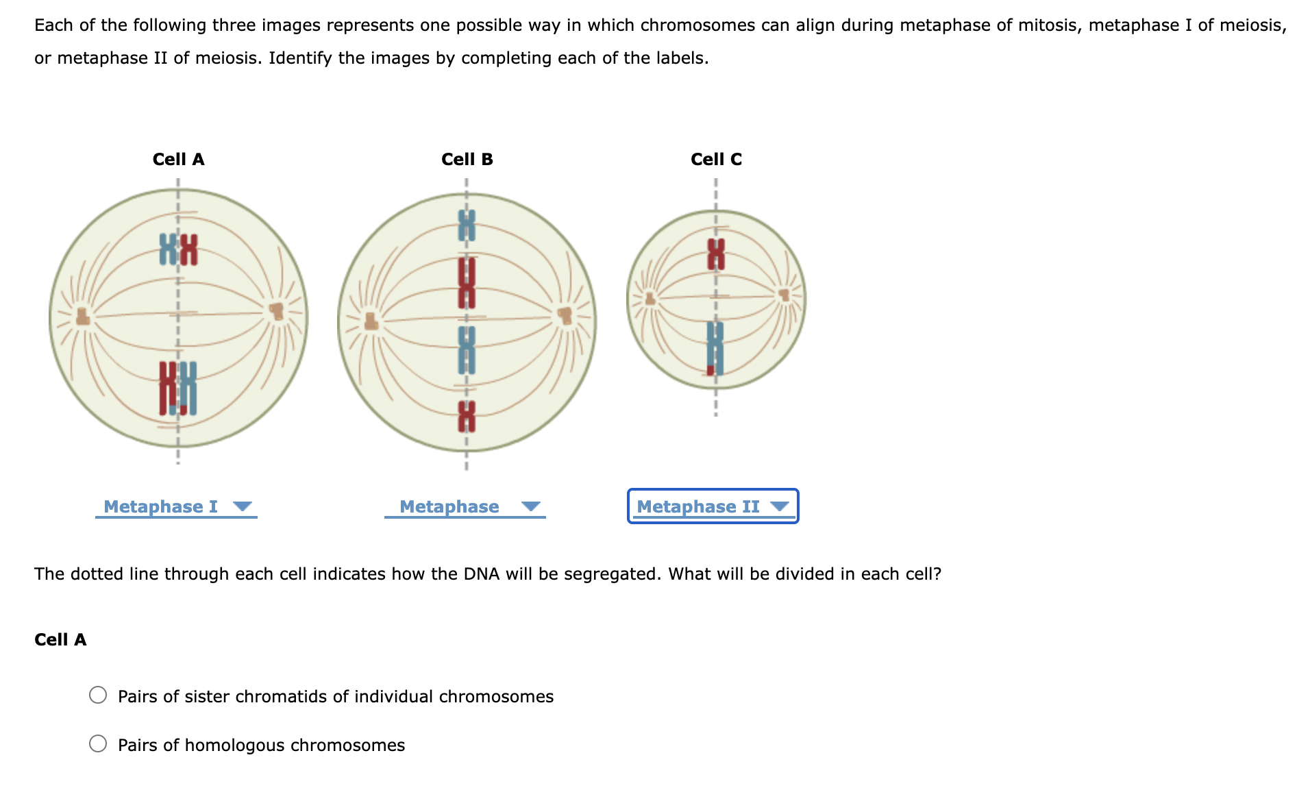 Solved Each of the following three images represents one | Chegg.com
