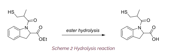Solved Consider the general reaction scheme below showing | Chegg.com