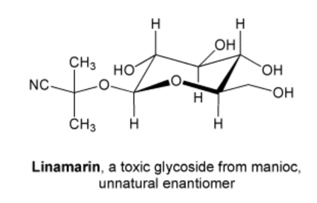 Solved н H он CH3 НО NC. ОН он H CH3 H H Linamarin, a toxic | Chegg.com