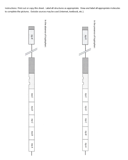 Solved Instructions: Print out or copy this sheet. Label all | Chegg.com