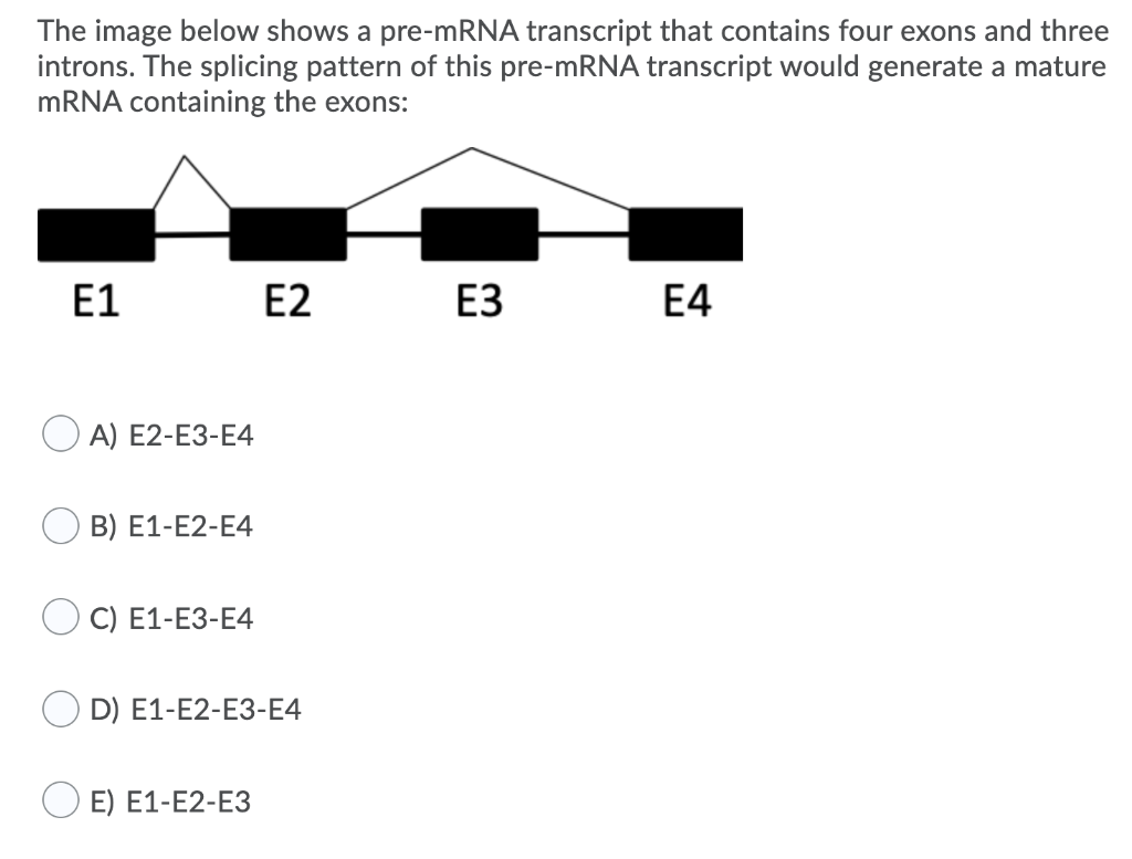Solved The image below shows a pre-mRNA transcript that | Chegg.com