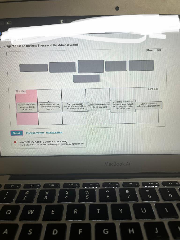 Solved X Incorrect; Try Again; 3 attempts remaining How is | Chegg.com