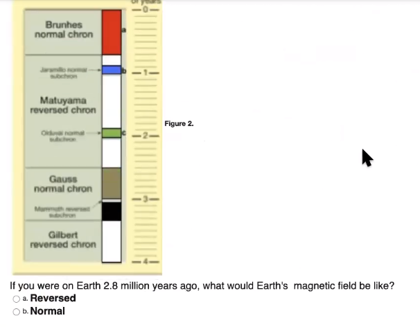 Solved Brunhes normal chron Matuyama reversed chron Figure | Chegg.com