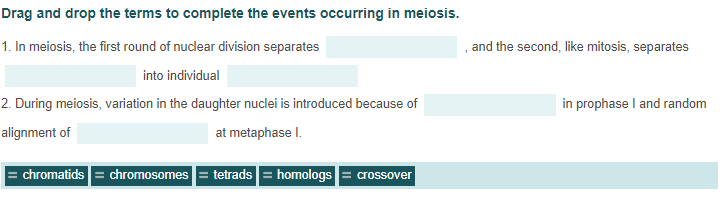 Solved Drag and drop the terms to complete the events | Chegg.com