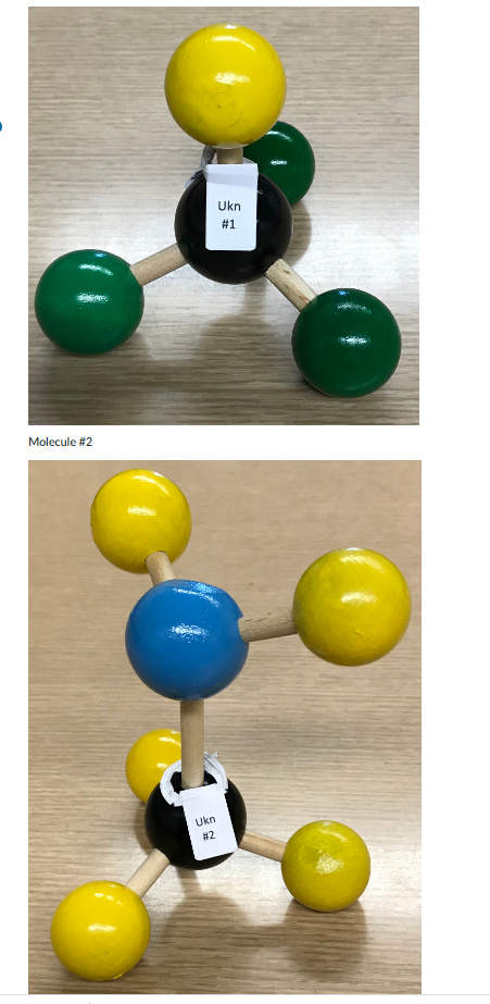 Solved Section E: Unknown Molecular Models Use the | Chegg.com