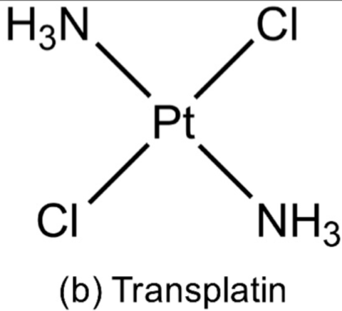 Solved How does the molecular orbital diagram for cisplatin | Chegg.com