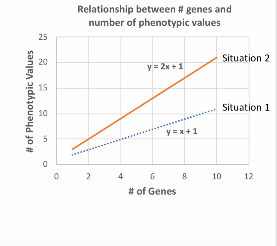 Solved Relationship between #genes and number of phenotypic | Chegg.com