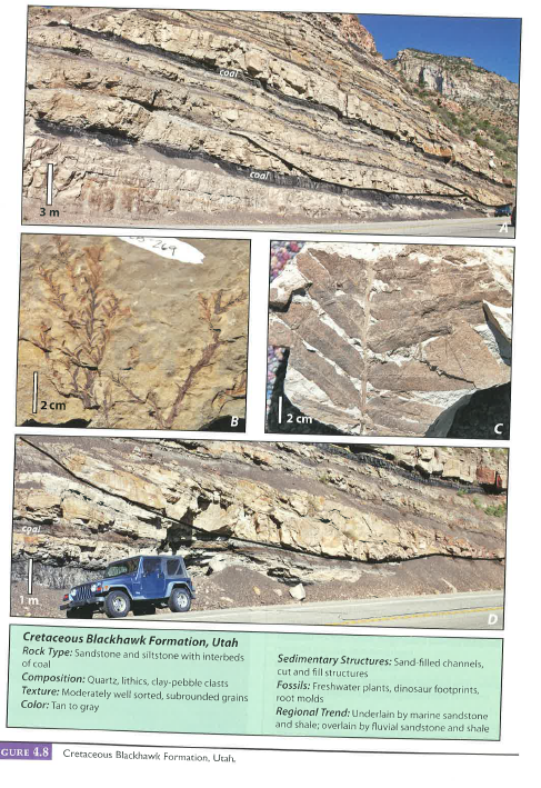 Solved Blackhawk Formation, Cretaceous, Price Canyon, Utah | Chegg.com